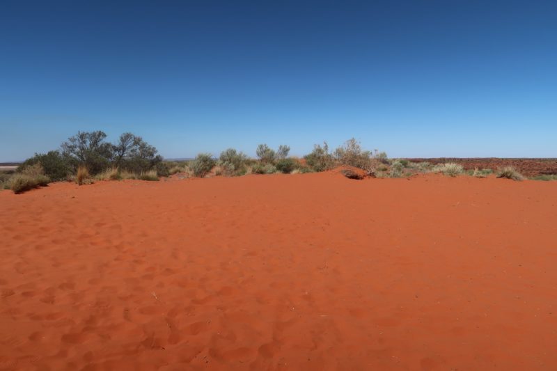 Visiter Uluru, Kata Tjuta et Kings Canyon - Constance Rose